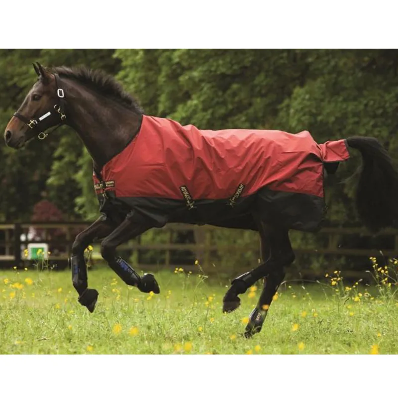 Amigo Mio Medium Turnout Rug 200g - Burgundy/Black
