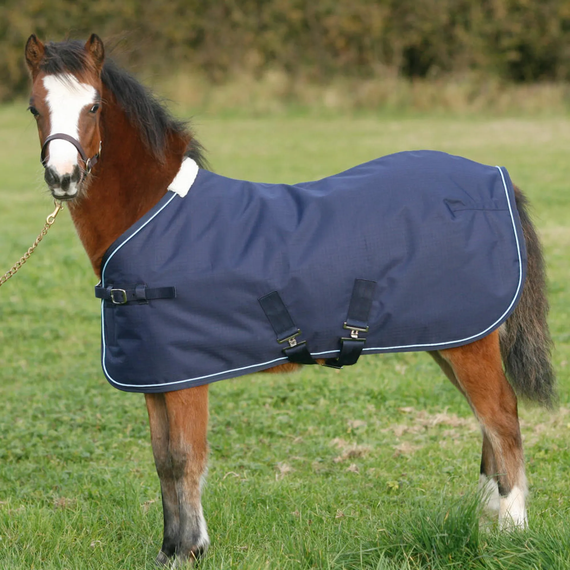 Mark Todd Foal Turnout Rug 150g - Navy