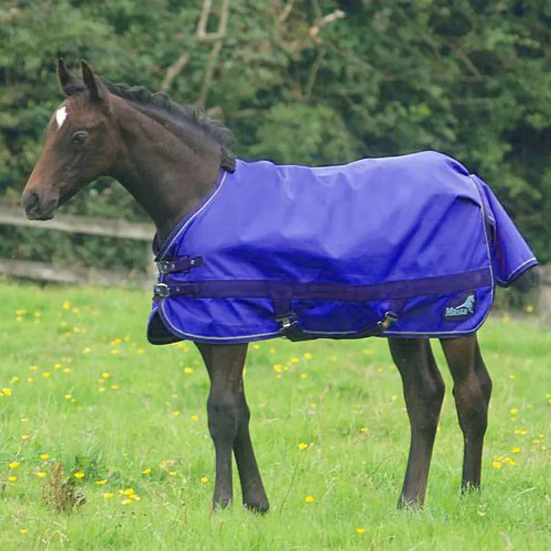Masta Foal Turnout Rug 170g - Petrol Blue - 4ft0in