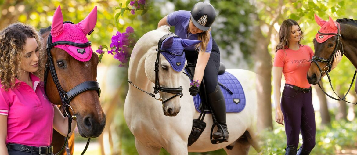bluebell - Redpost Equestrian Blog