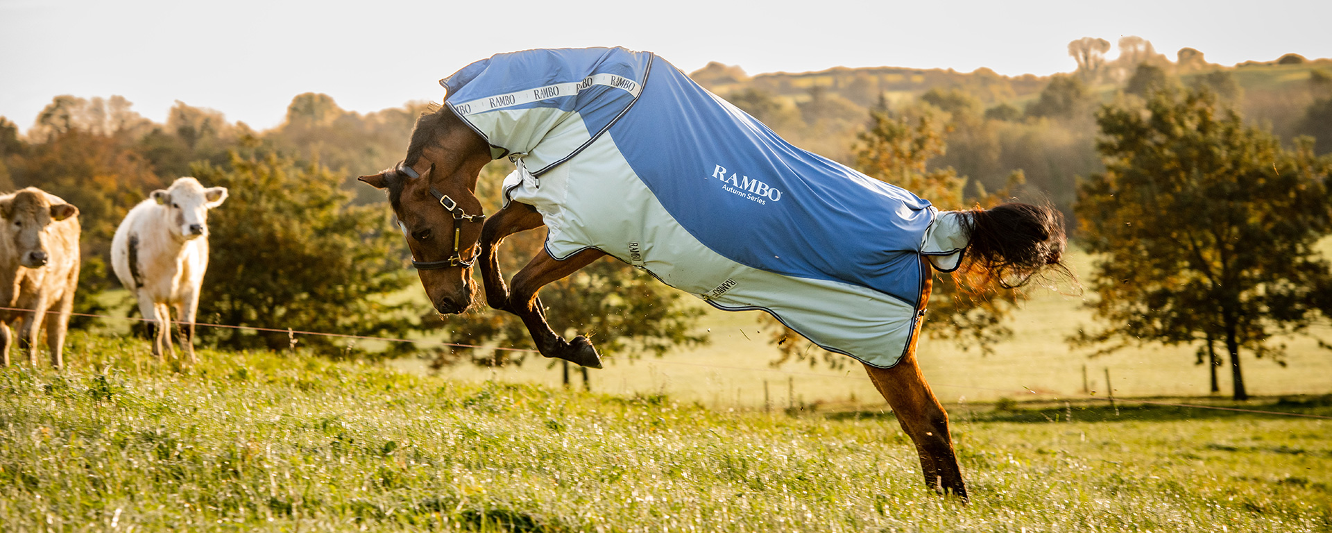 Redpost Equestrian Blog - Redpost Equestrian Blog