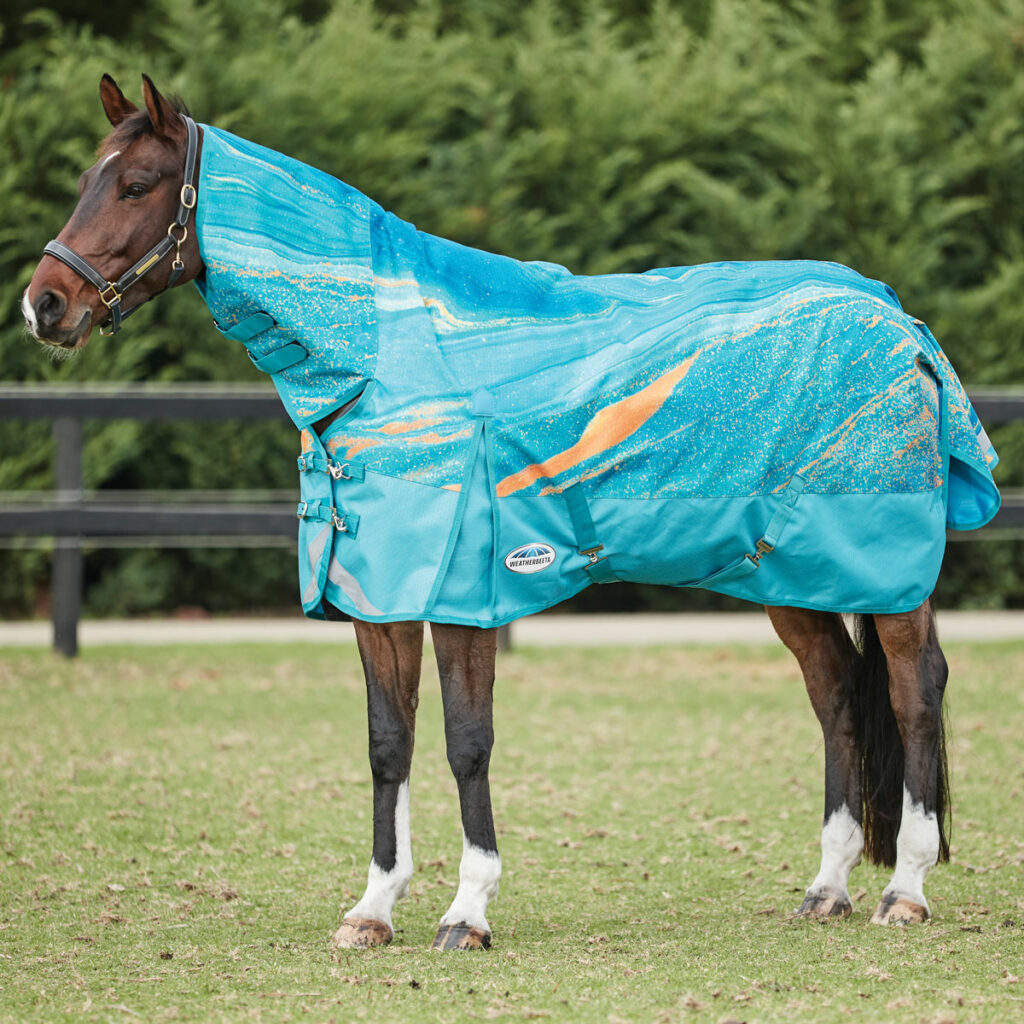 Win your Winter Rug Wardrobe with WeatherBeeta - Redpost Equestrian Blog