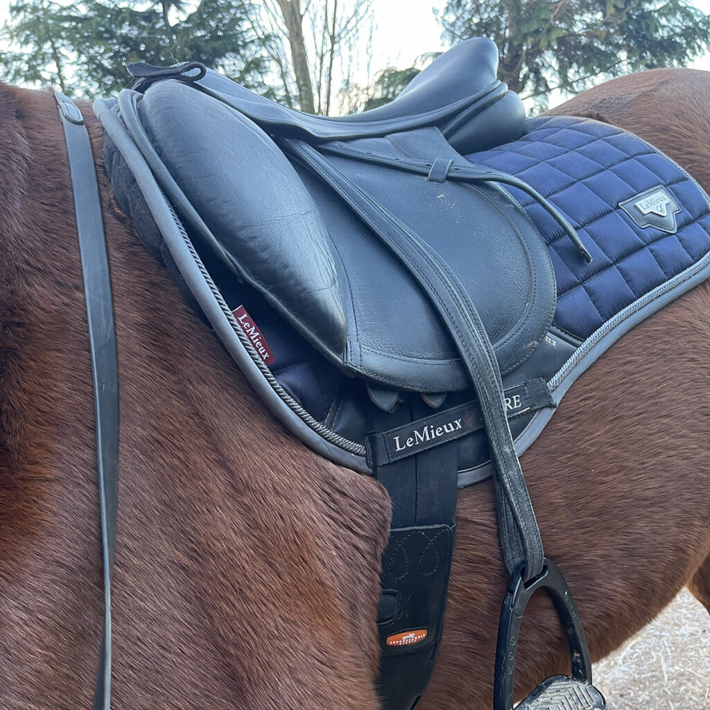 Tried & Tested: Schockemohle Portland Leather Girth - Redpost ...