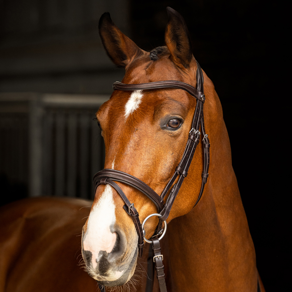 Find out about the LeMieux Kudos and Arika Bridles - Redpost Equestrian ...