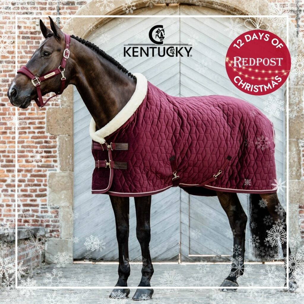 Redpost’s 12 Days of Christmas - Redpost Equestrian Blog