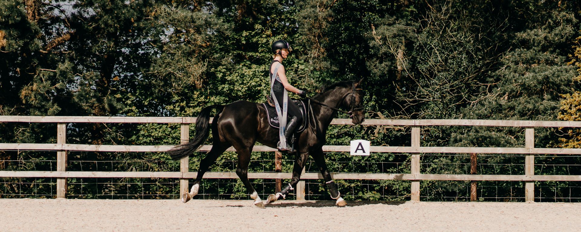 How do I use the EQ Bands? - Redpost Equestrian Blog
