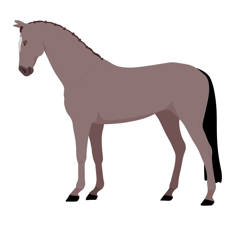 What Type of Horse Clip is the Right One? - Redpost Equestrian Blog