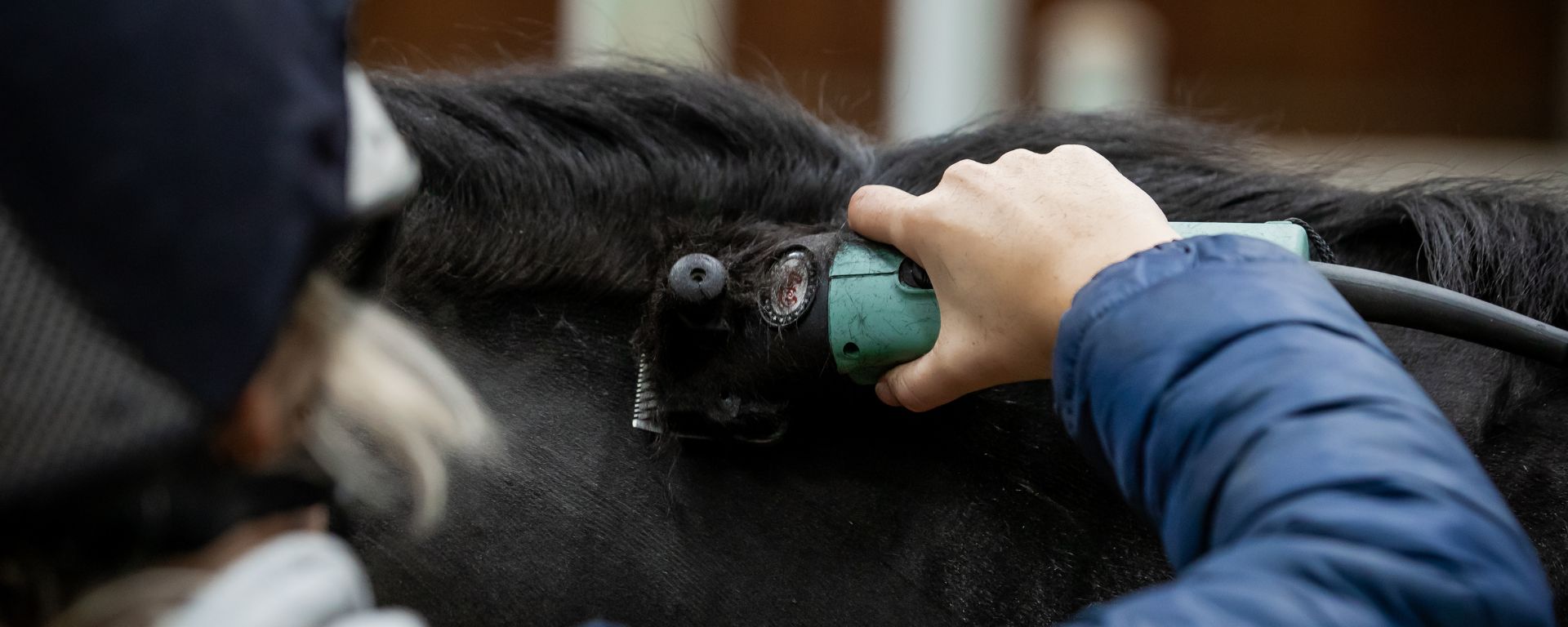 What Type of Horse Clip is the Right One? - Redpost Equestrian Blog