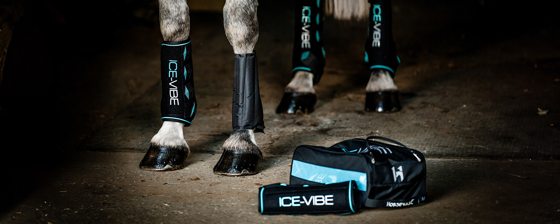 Discover the Latest Horseware Ice-Vibe Range | Redpost