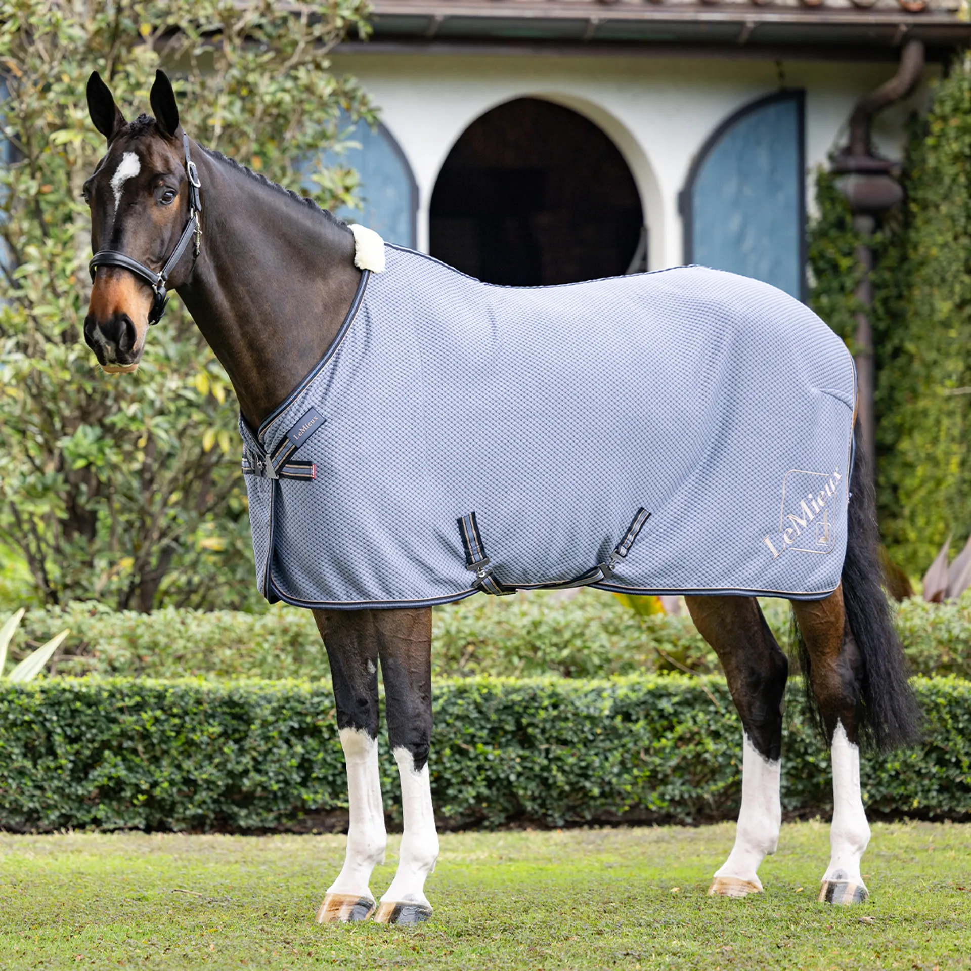 LeMieux Kudos Bamboo Cooler Rug - Jay Blue