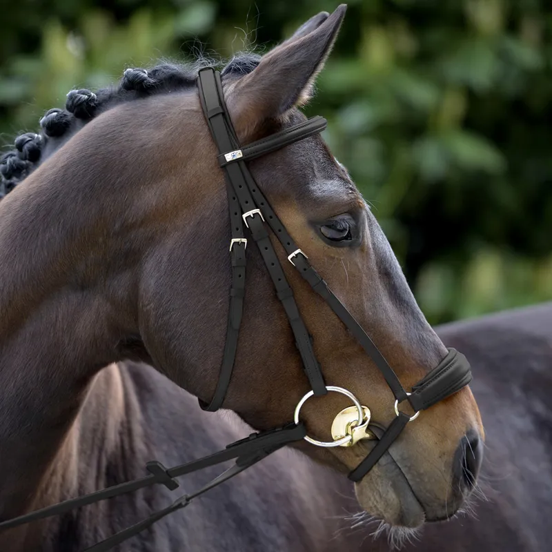 Stubben Leitrim Bridle with Hanoverian Drop Noseband - Black