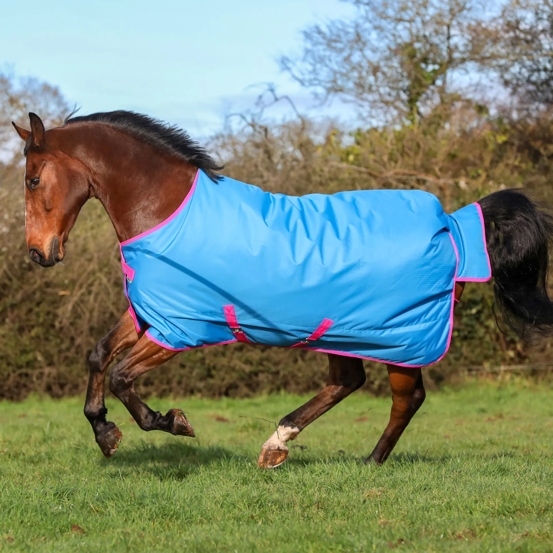 Bucas Freedom 0g Standard Neck Turnout Rug - Denim