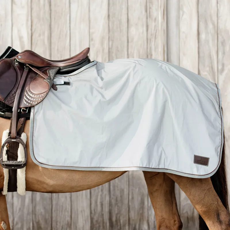 Kentucky Reflective Quarter Rug - Silver