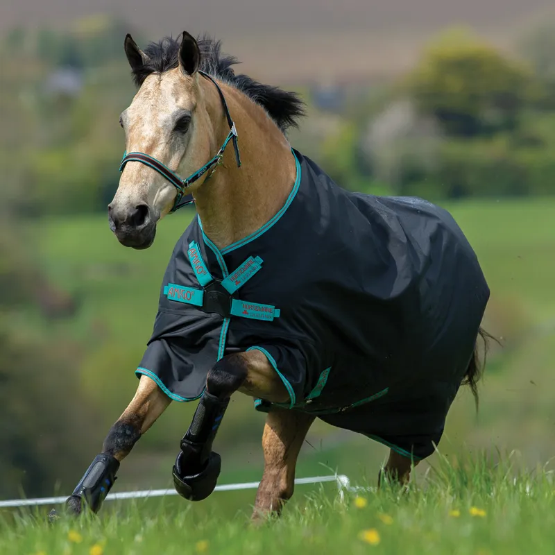 Amigo Hero ACY 0g Disc Closure Turnout Rug - Black/Teal/Cherry