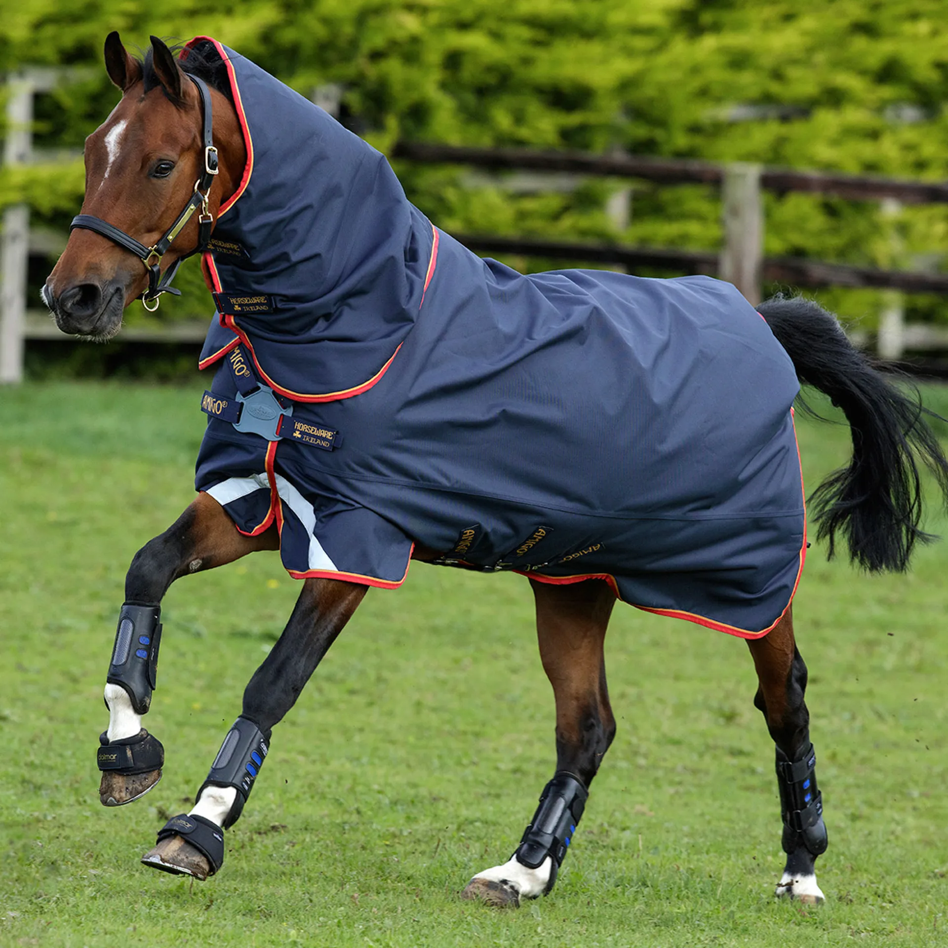 Amigo Bravo 12 Plus 100g Disc Front Turnout Rug - Navy/Gold/Red