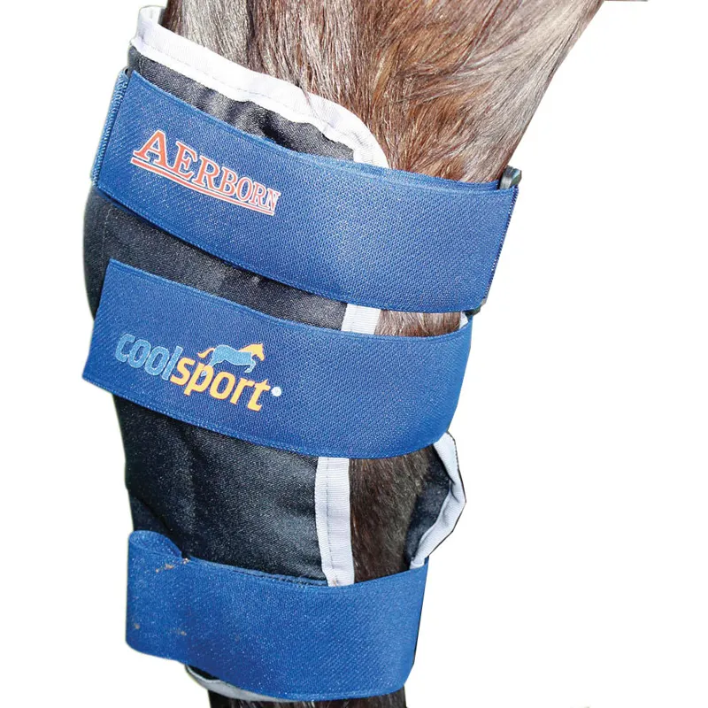 Aerborn CoolSport Hock Boot