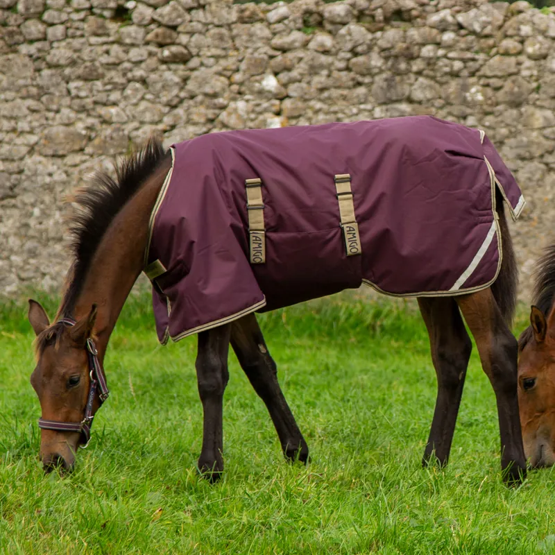 Amigo Foal Ripstop 200g Turnout Rug - Fig/Navy/Tan