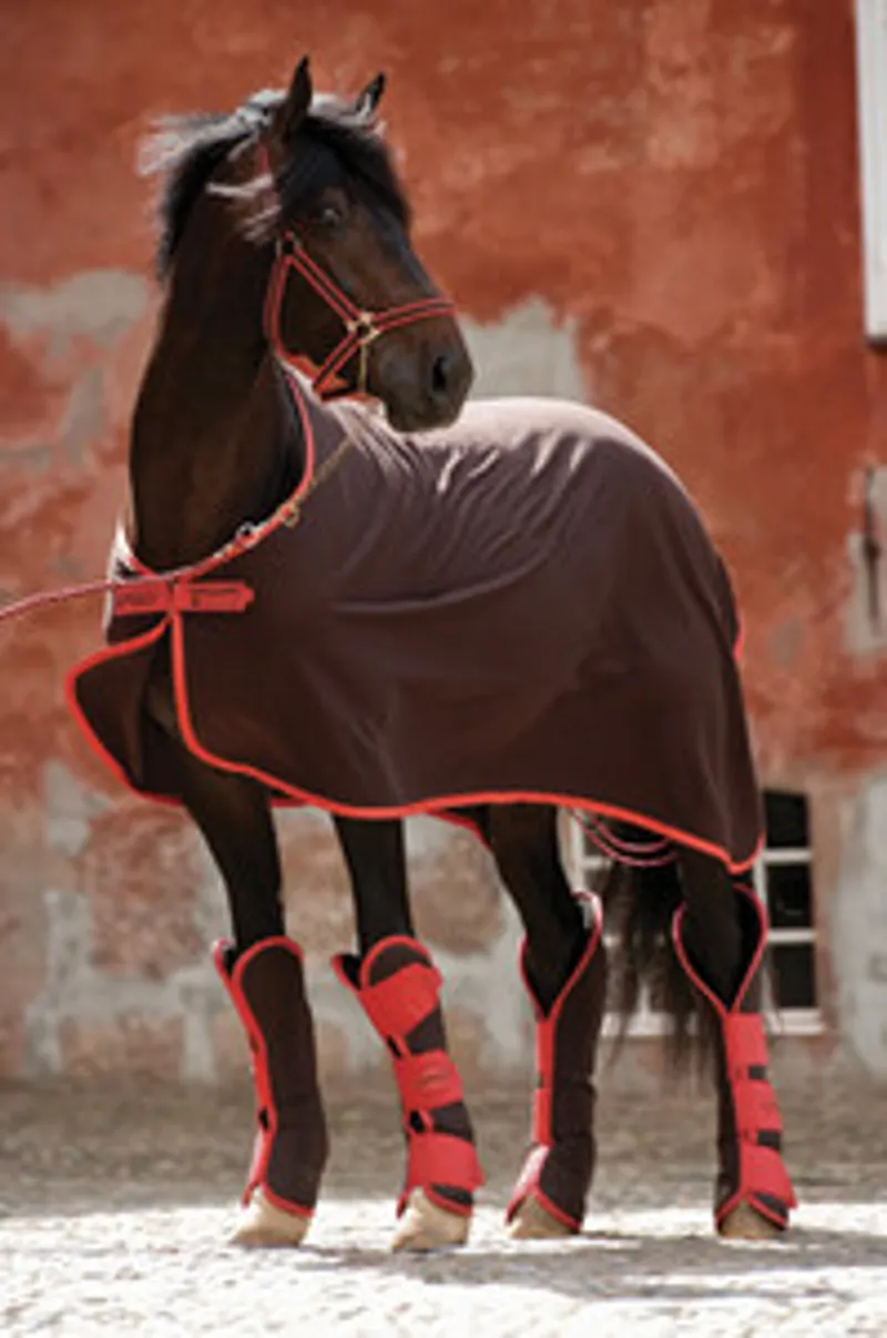 Amigo Headcollar & Leadrope Set - Java/Red