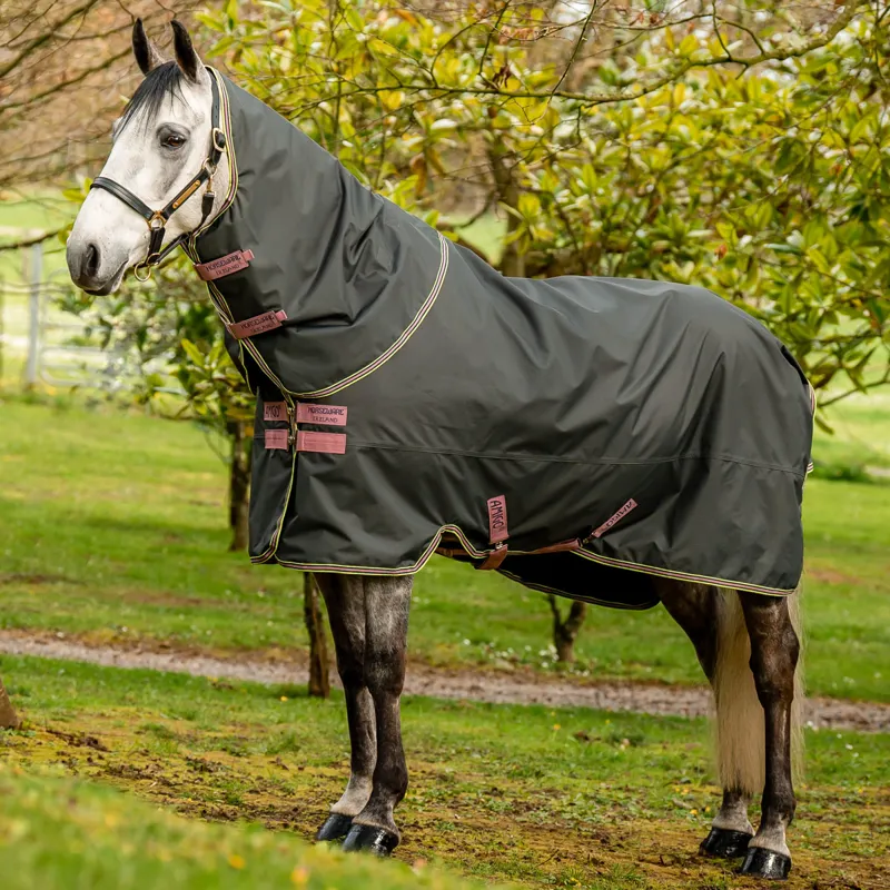 Amigo Hero 600D with Ripstop Plus 0g Turnout Rug - Shadow/Rose