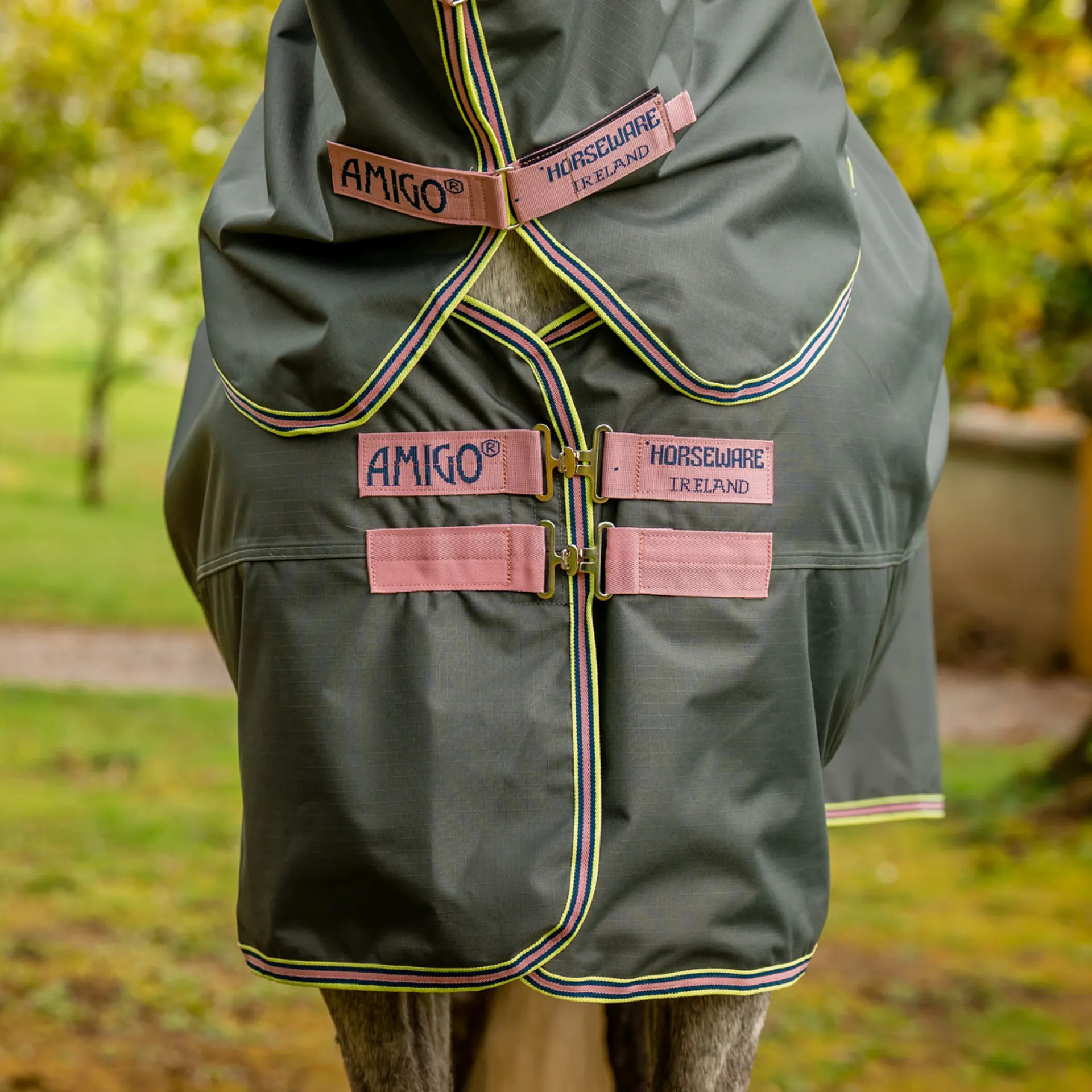 Amigo Hero 600D with Ripstop Plus 0g Turnout Rug - Shadow/Rose