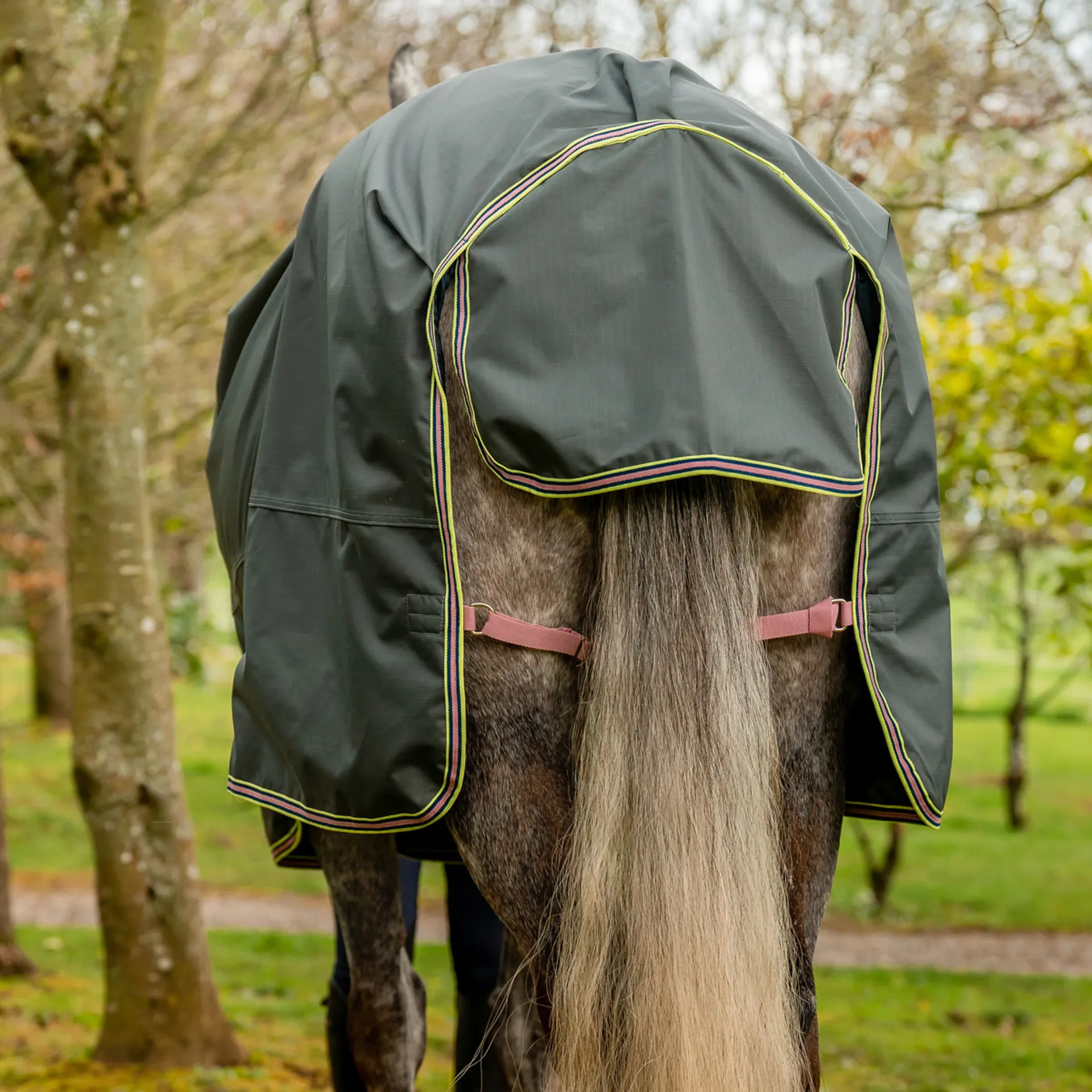 Amigo Hero 600D with Ripstop Plus 0g Turnout Rug - Shadow/Rose