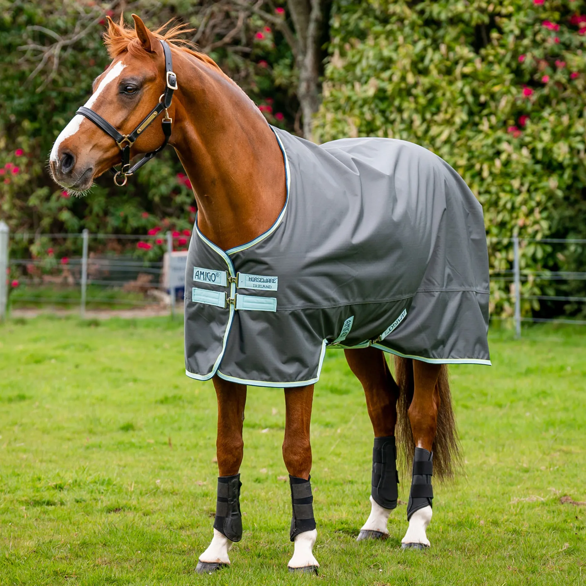 Amigo Hero 600D with Ripstop 50g Turnout Rug - Shadow/Blue Haze
