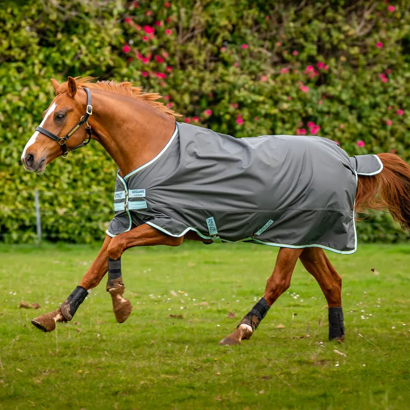 Amigo Hero 600D with Ripstop 50g Turnout Rug - Shadow/Blue Haze