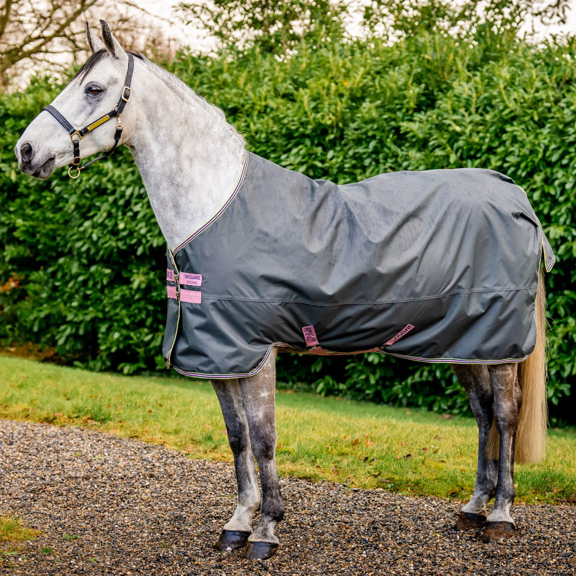 Amigo Hero 600D with Ripstop 0g Turnout Rug - Shadow/Rose/Navy