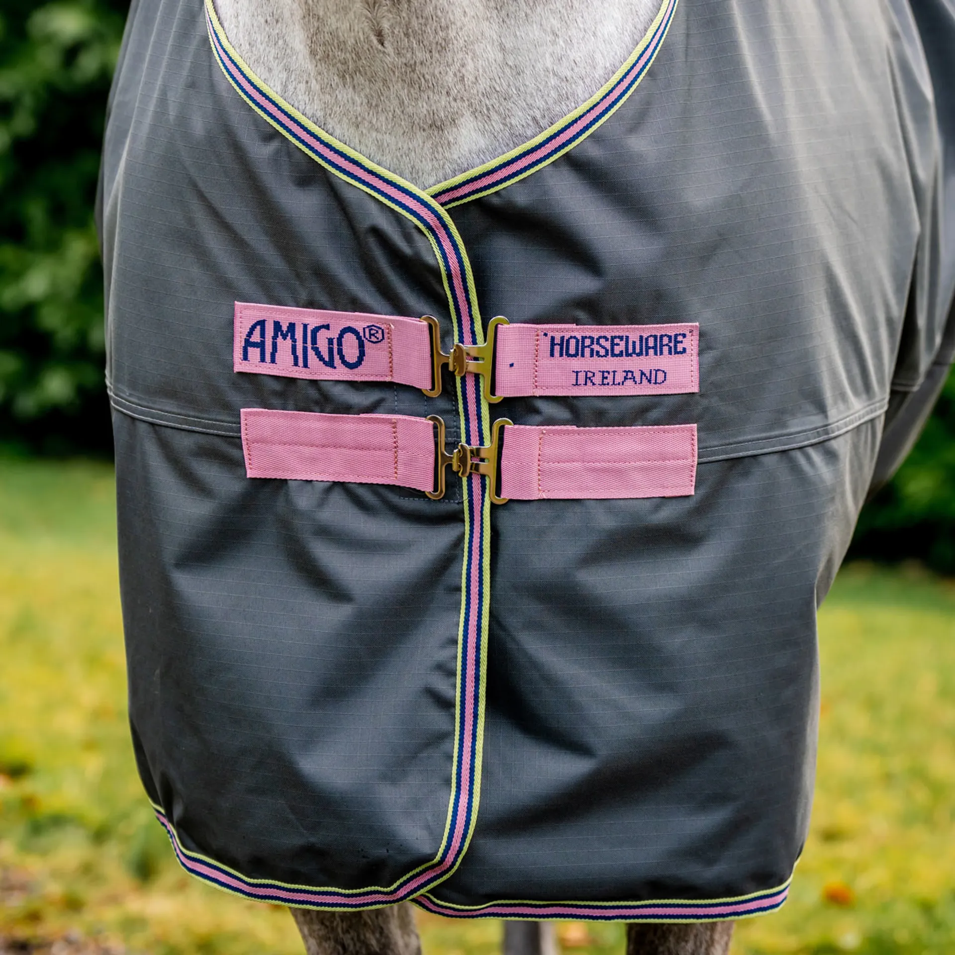 Amigo Hero 600D with Ripstop 0g Turnout Rug - Shadow/Rose/Navy