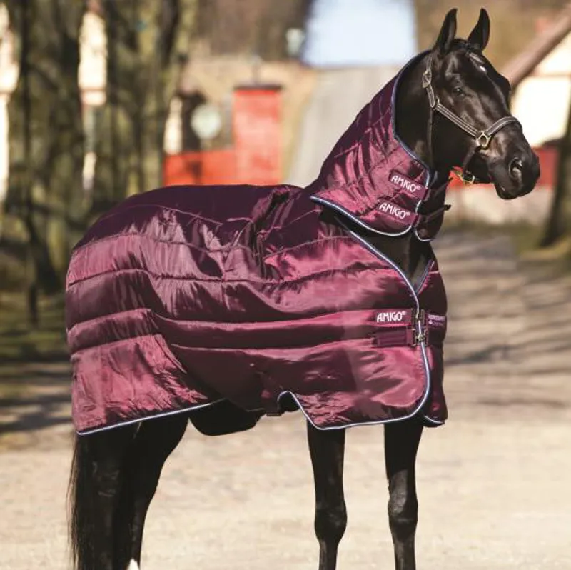 Amigo 1 Piece Insulator Combo Medium 200g Stable Rug - Fig/Navy