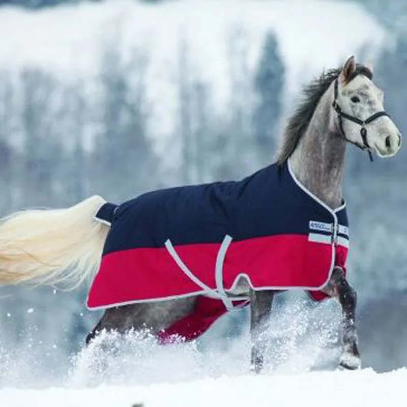 Amigo Mio Lite Turnout Rug - Navy/Red