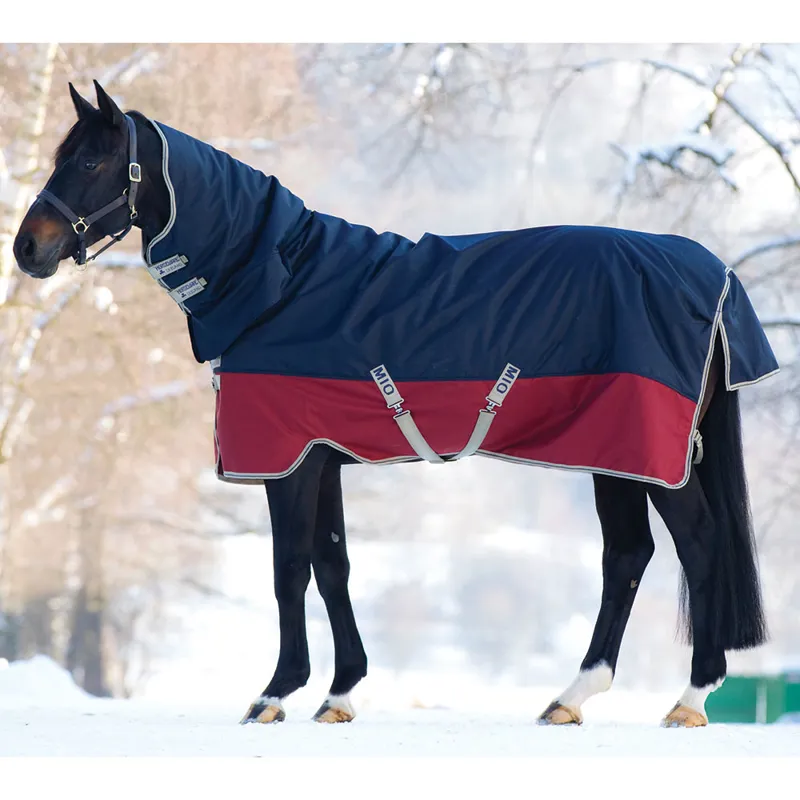 Amigo Mio 1 Piece Medium Combo Turnout Rug 200g - Navy/Burgundy