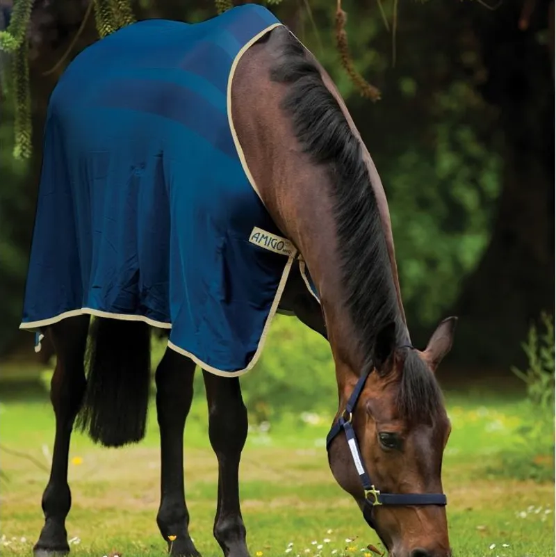 Mio Skrim Cooler Rug - Navy/Tan