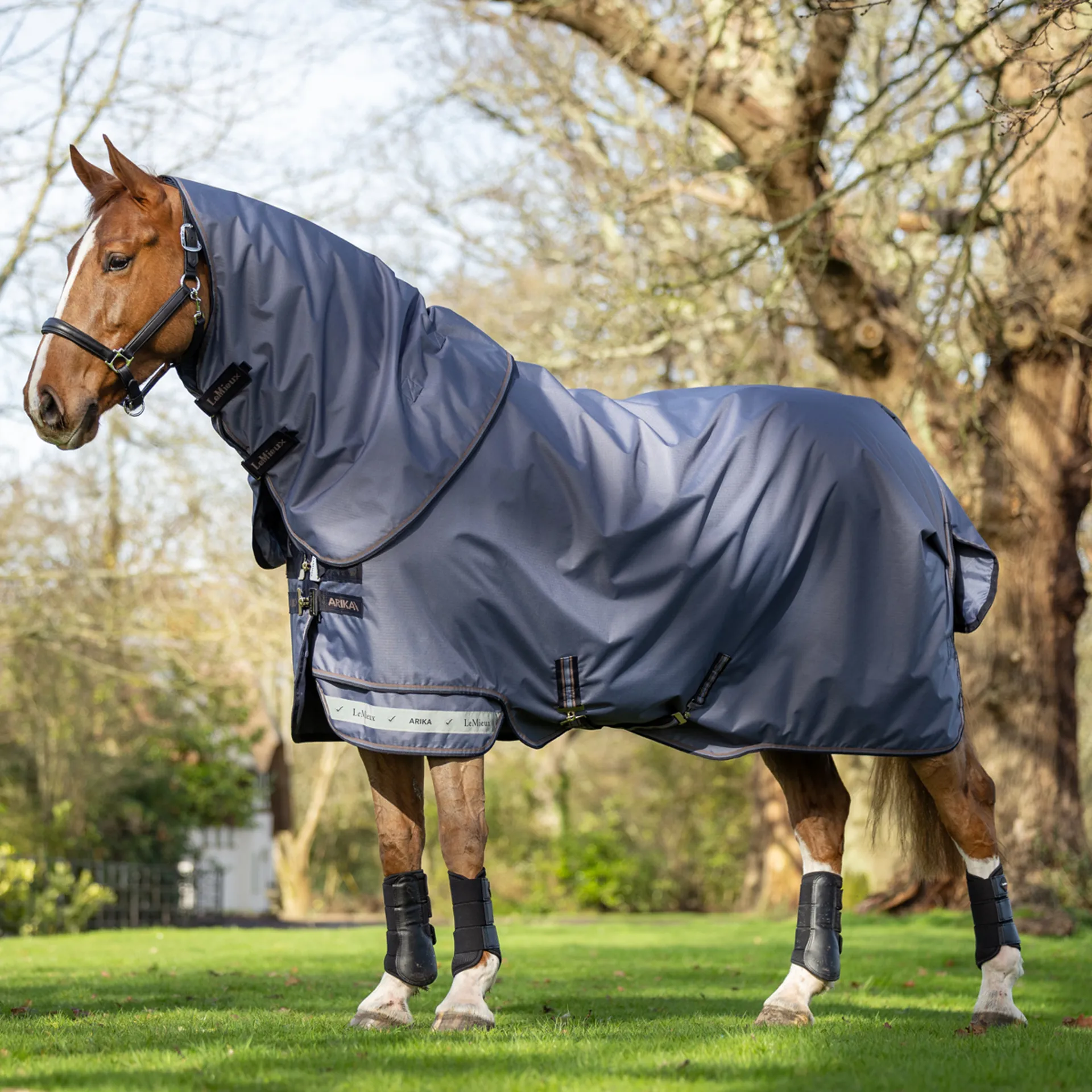 LeMieux Arika Ripstop 600D 0g Turnout Rug - Jay Bue