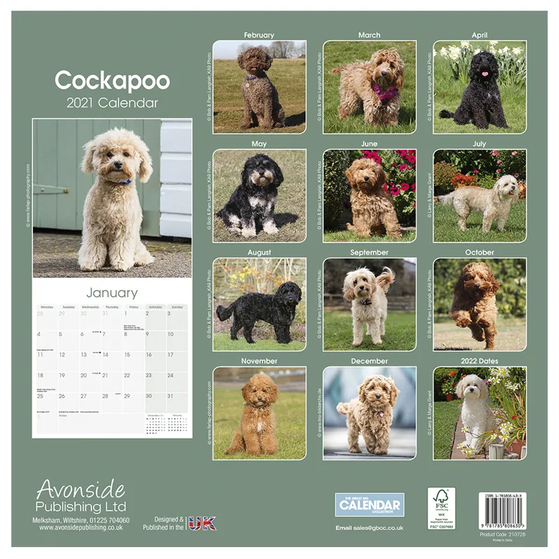Avonside 2021 Calendar - Cockapoo