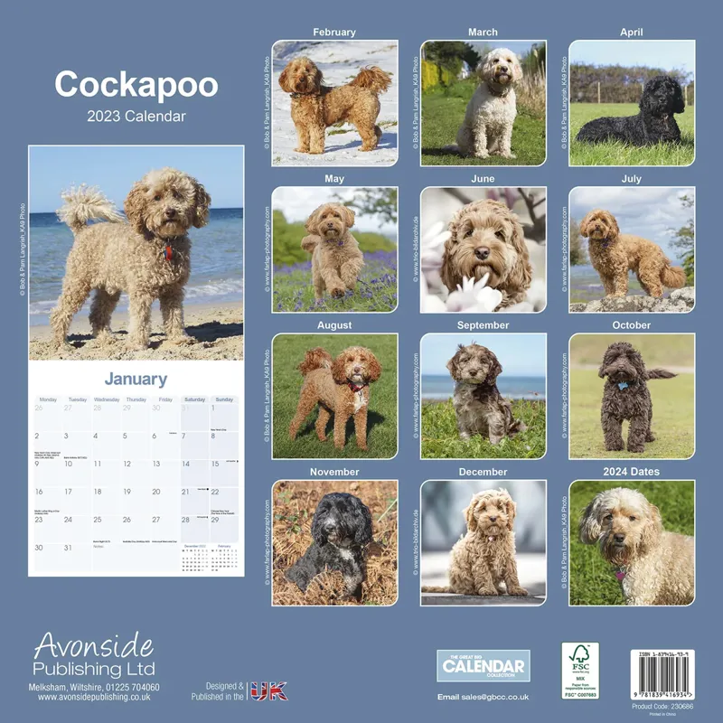 Avonside 2023 Calendar - Cockapoo