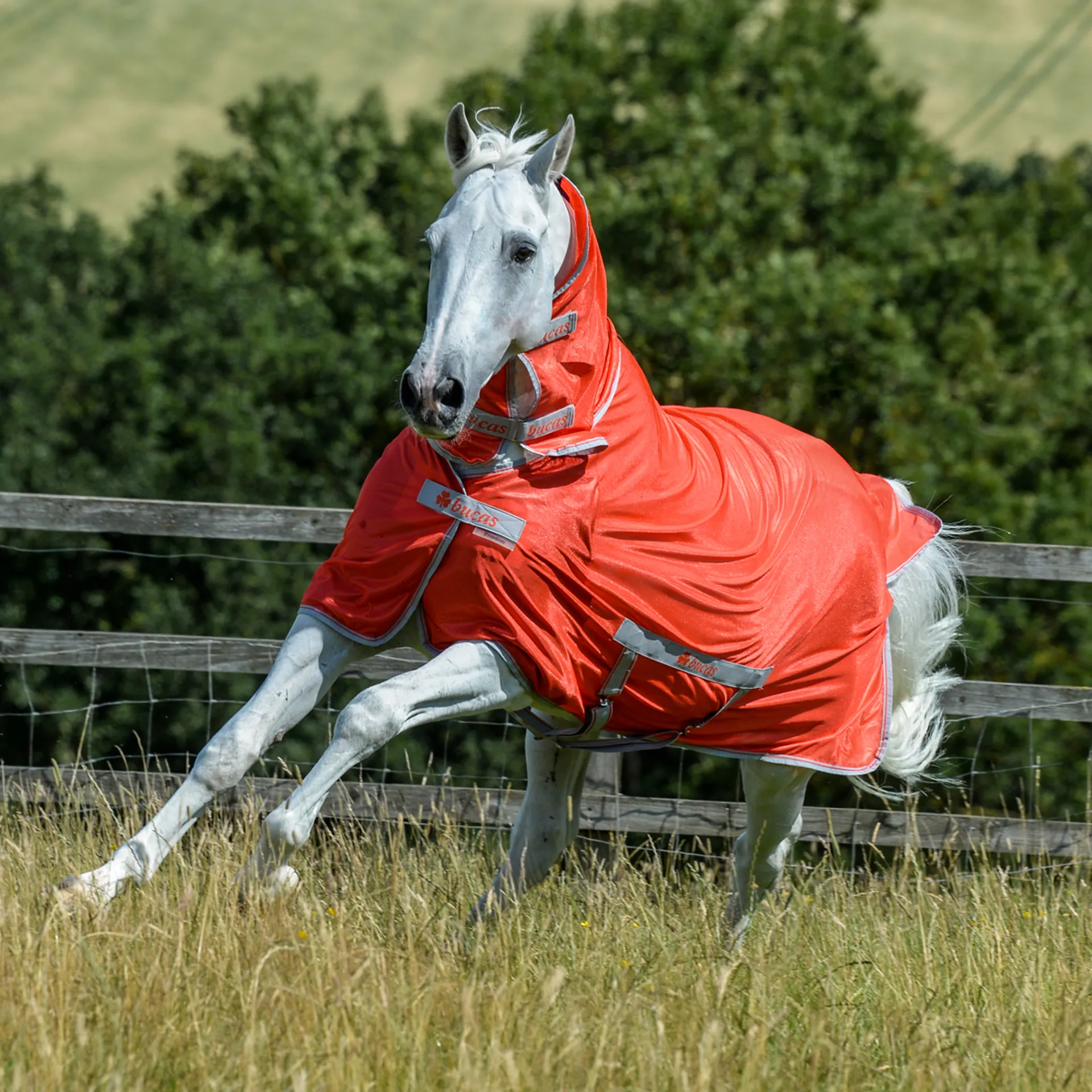 Bucas Freedom Combo Neck Fly Rug - Grenadine