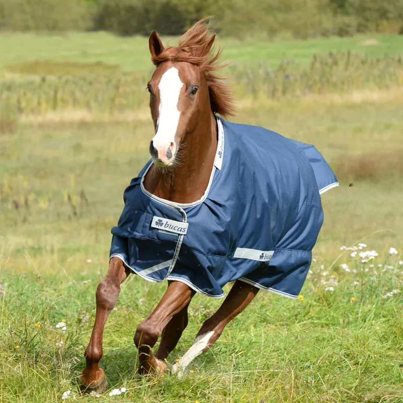 Bucas Select 100g Turnout Rug - Navy
