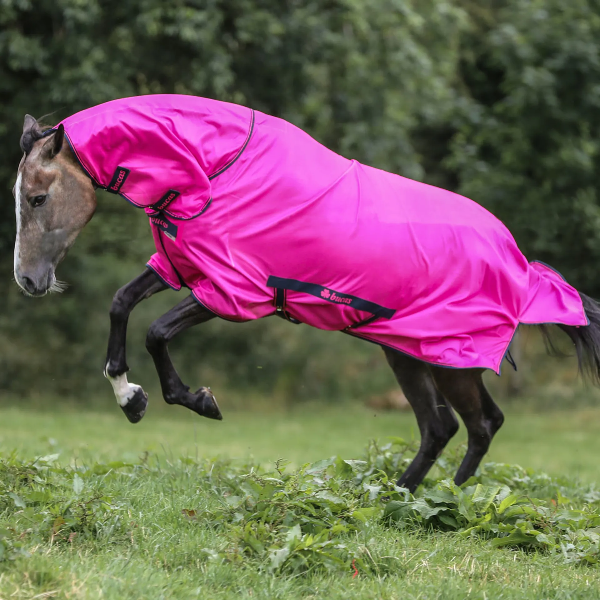Bucas Freedom Combo Neck Fly Rug - Fuchsia