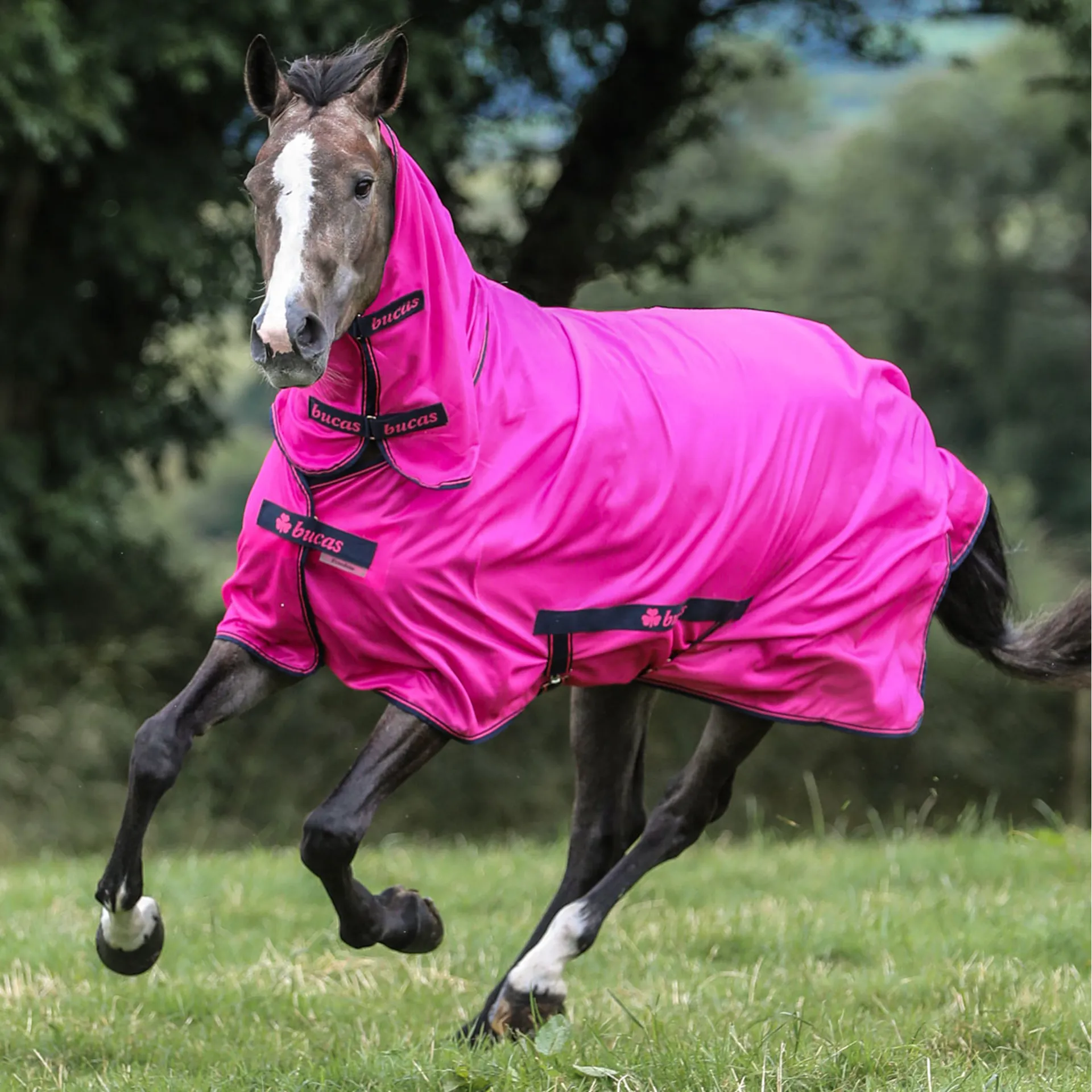 Bucas Freedom Combo Neck Fly Rug - Fuchsia