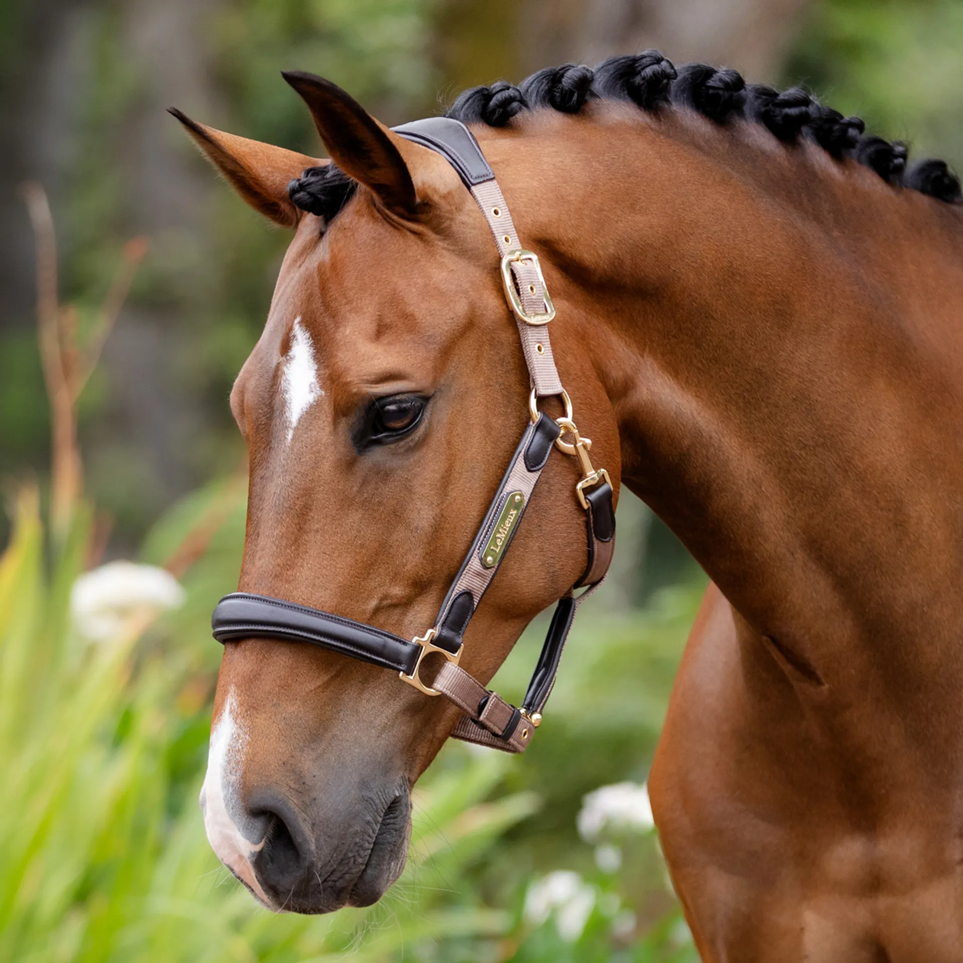 LeMieux Capella Leather Headcollar - Mink