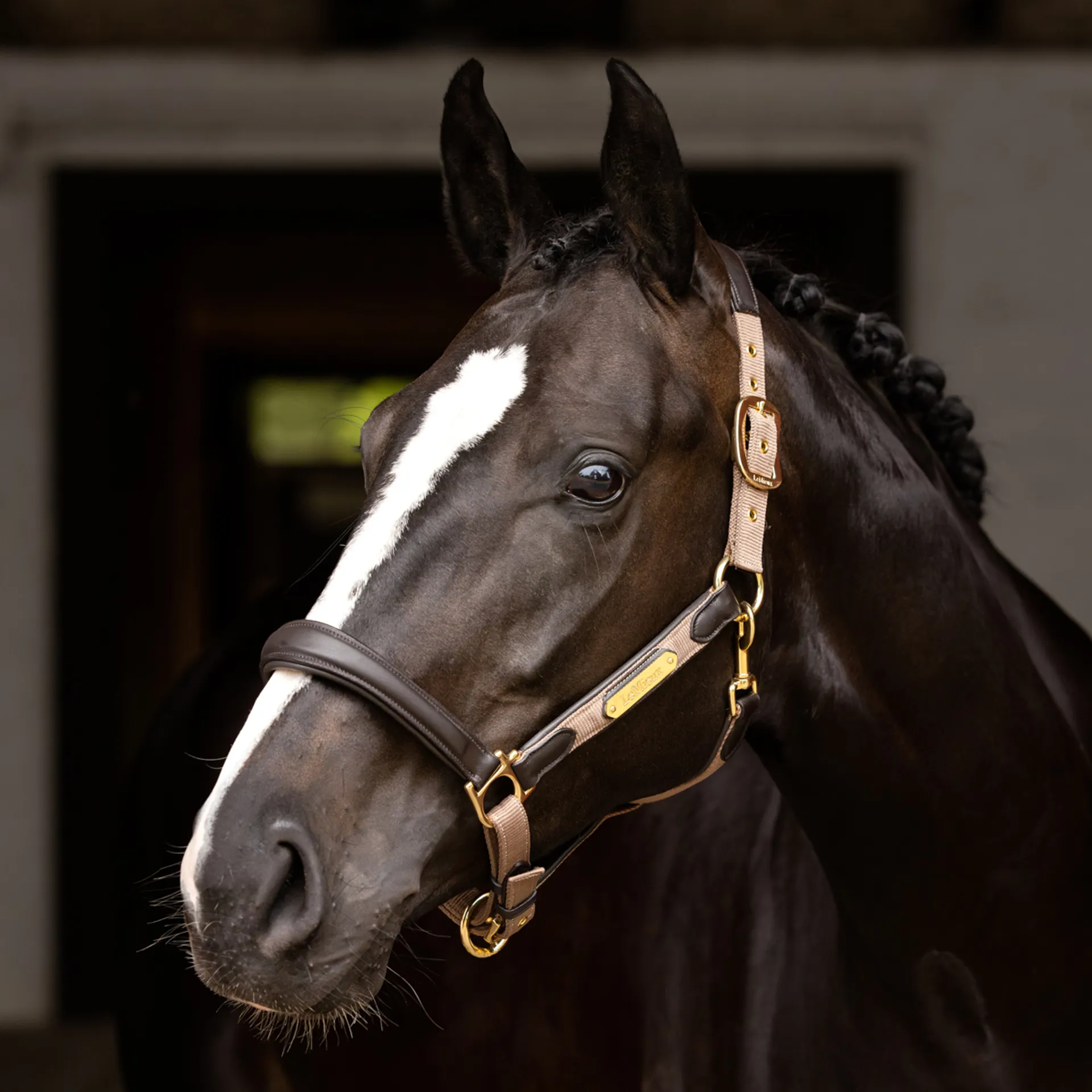 LeMieux Capella Leather Headcollar - Mink