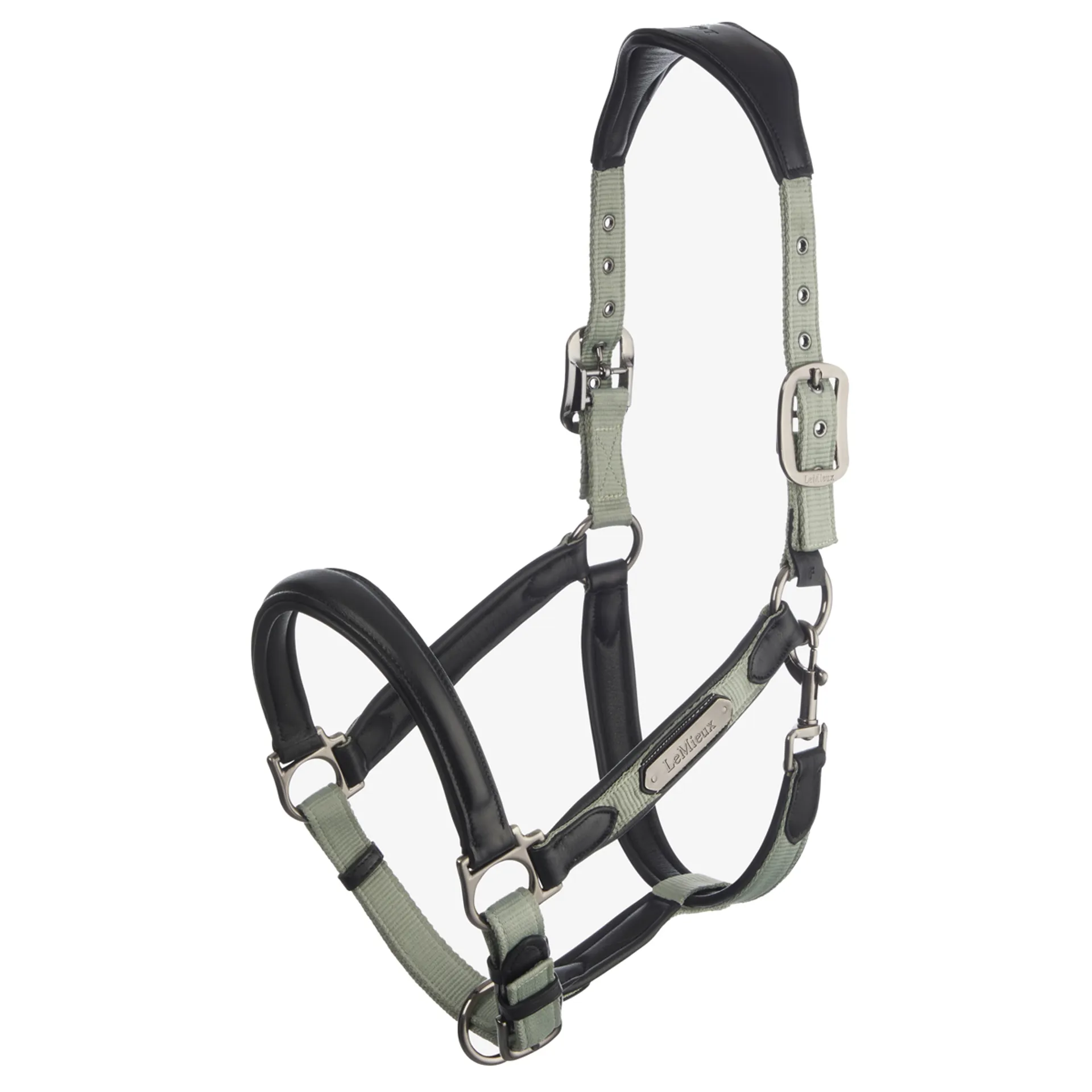 LeMieux Capella Leather Headcollar - Thyme