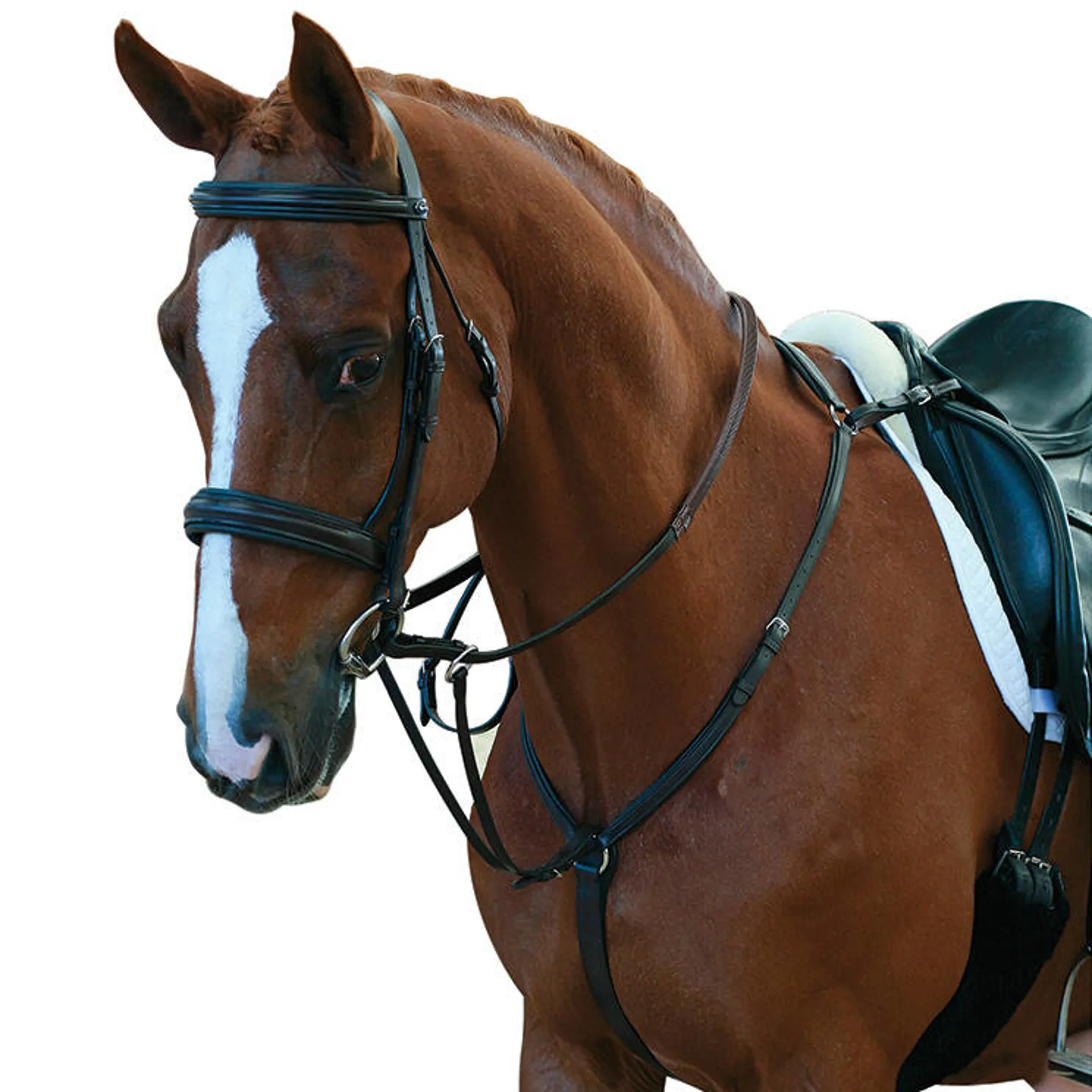 Collegiate Hunter Breastplate - Black