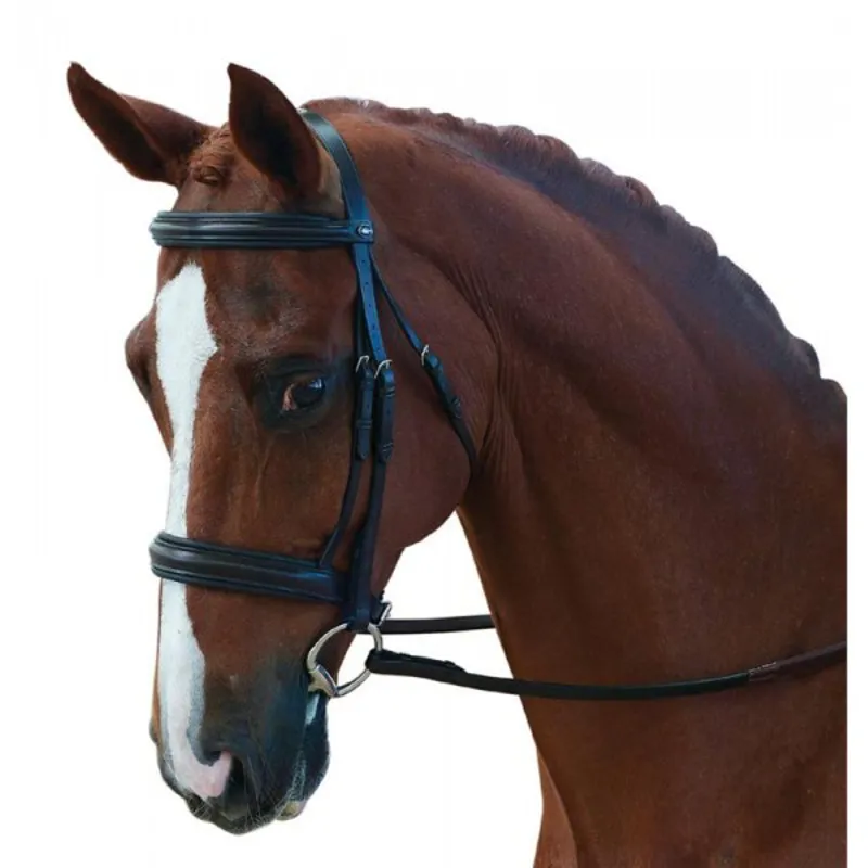 Collegiate Cavesson Bridle with Reins - Black