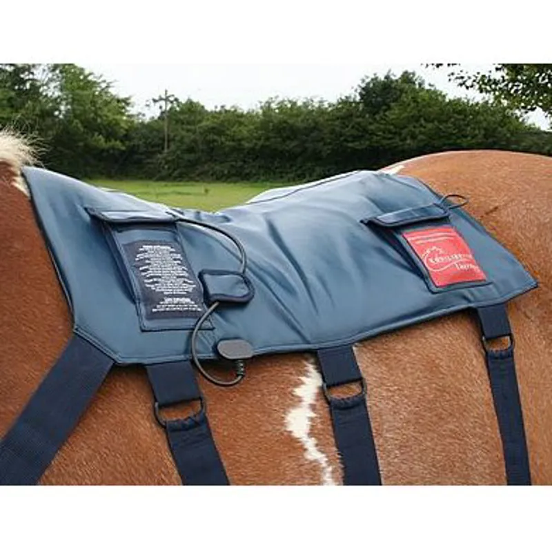 Equilibrium Therapy Massage Pad