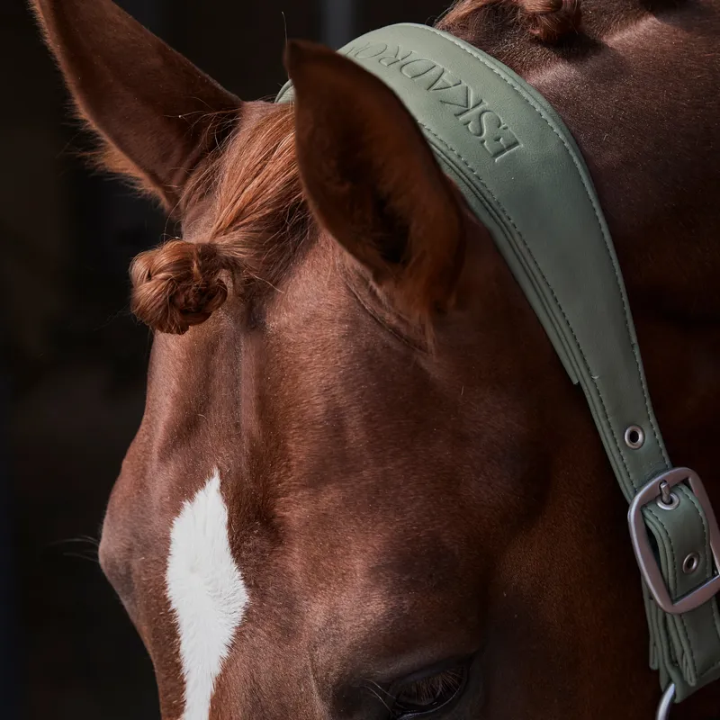 Eskadron Platinum Leather Headcollar - Ash Green