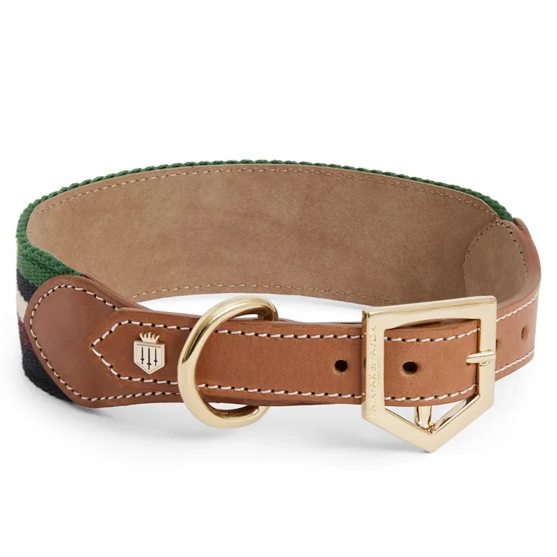 Fairfax and Favor Boston Dog Collar - Tan/Striped Webbing