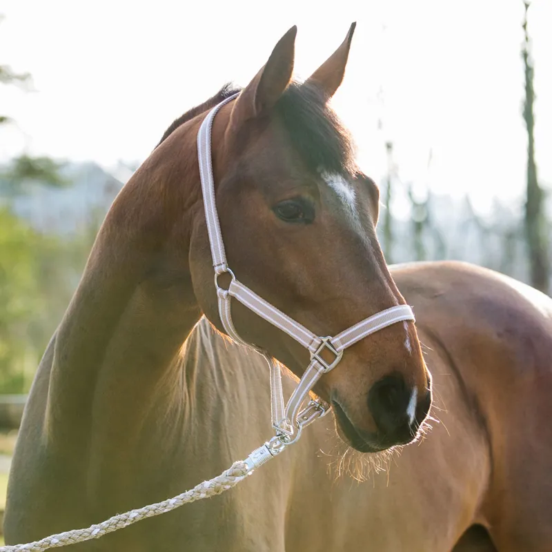 Horze Nice Headcollar - Cobblestone