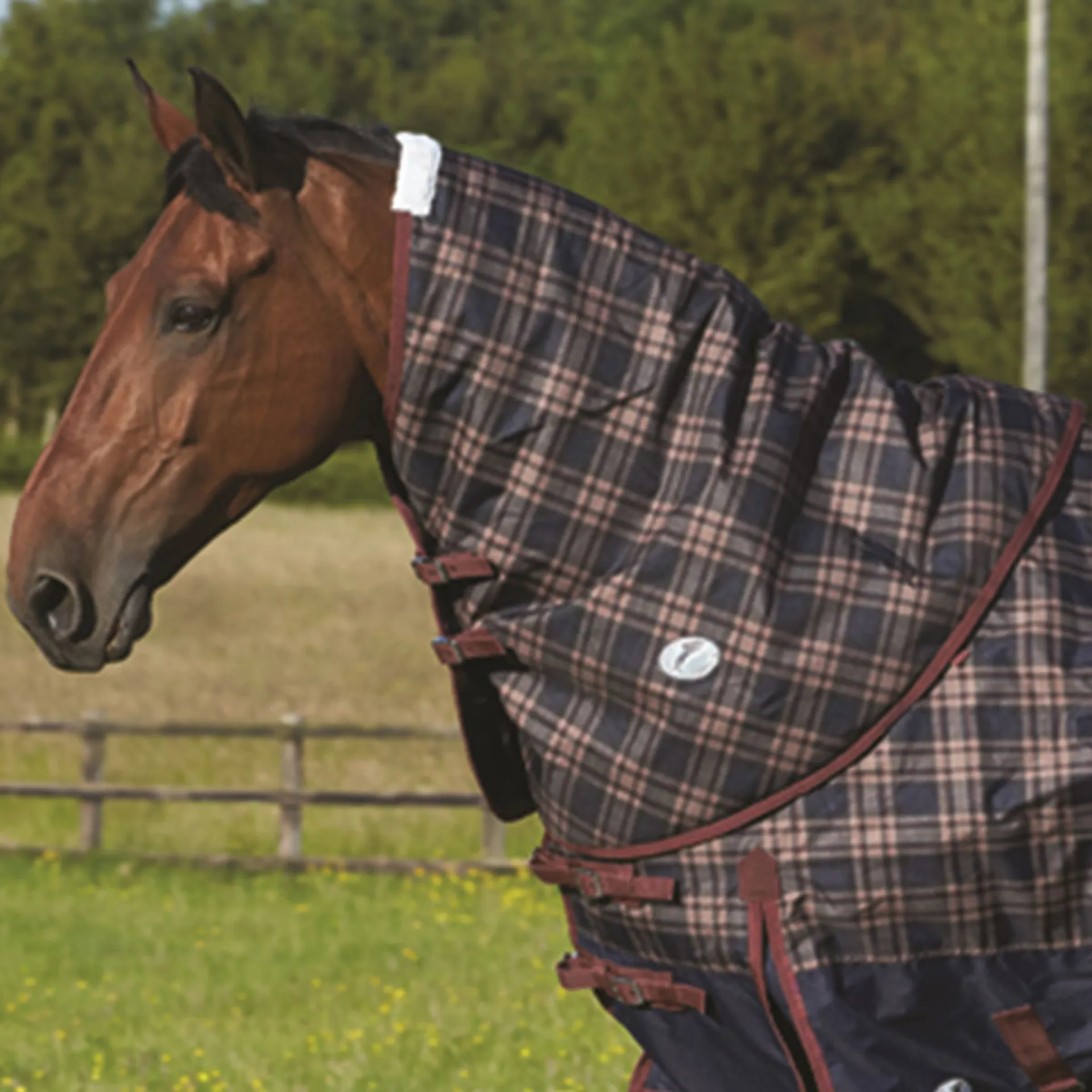 JHL Medium Weight Turnout Neck Cover - Navy/Burgundy